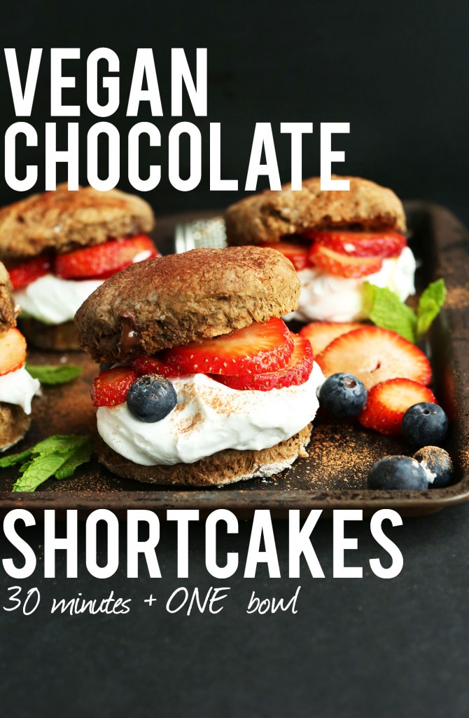Double Chocolate Shortcake | Minimalist Baker Recipes
