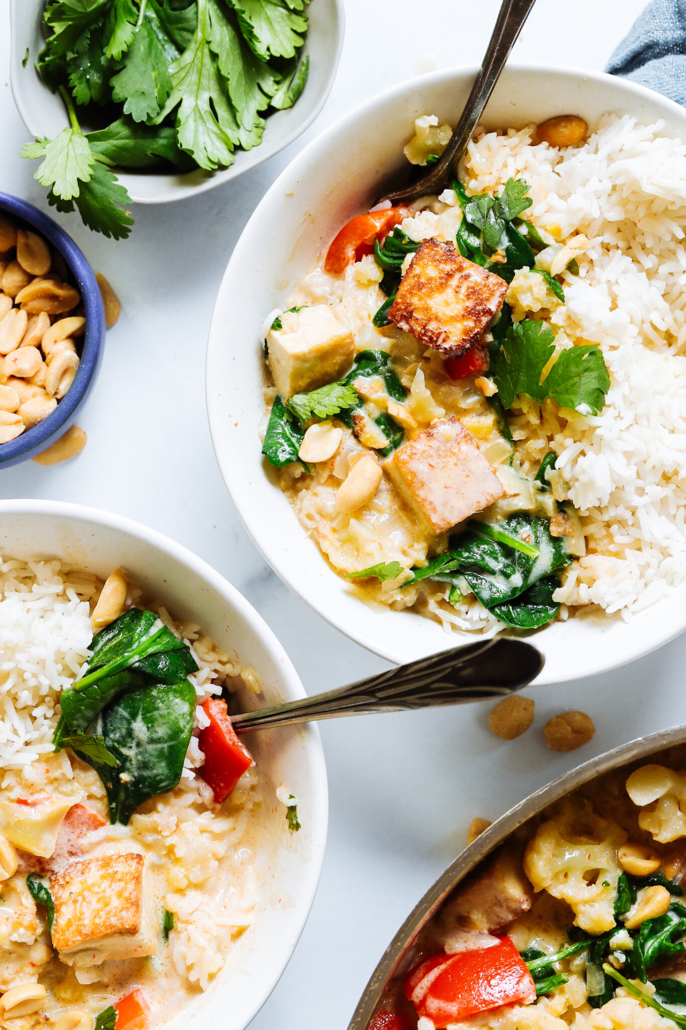 Easy Vegetable Panang Curry (Tofu or Chicken) - Minimalist Baker