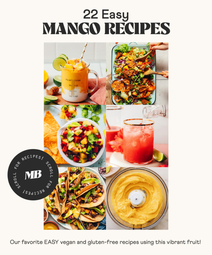 22 Easy Mango Recipes - Minimalist Baker